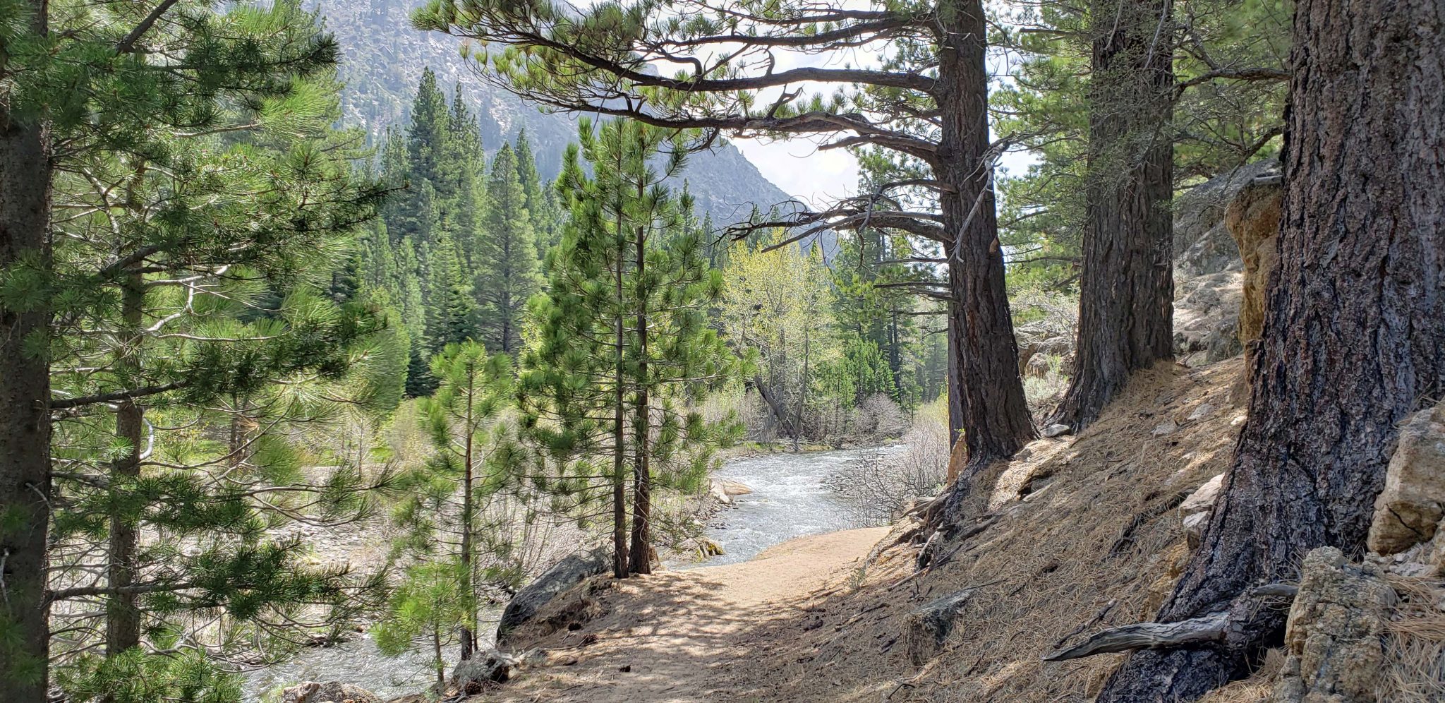 Discover Alpine County California