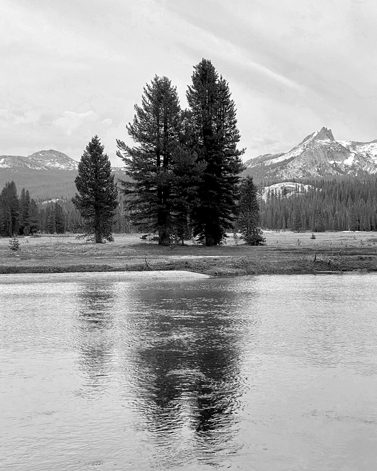 Featured Regional Photographers