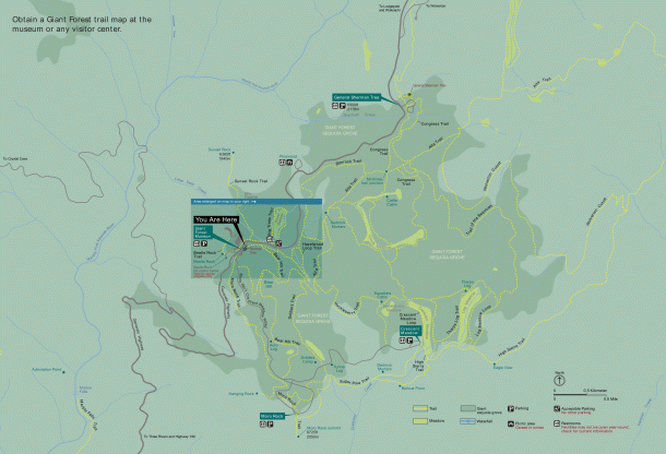 Sierra Rec Magazines Guide to the Giant Forest