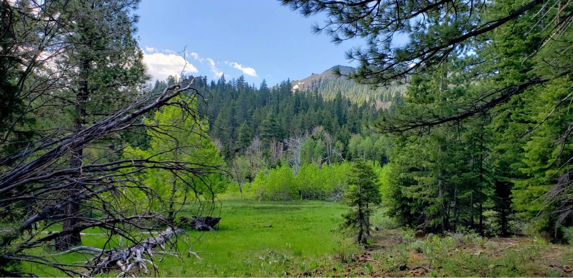 High Route - Carson Iceberg Wilderness
