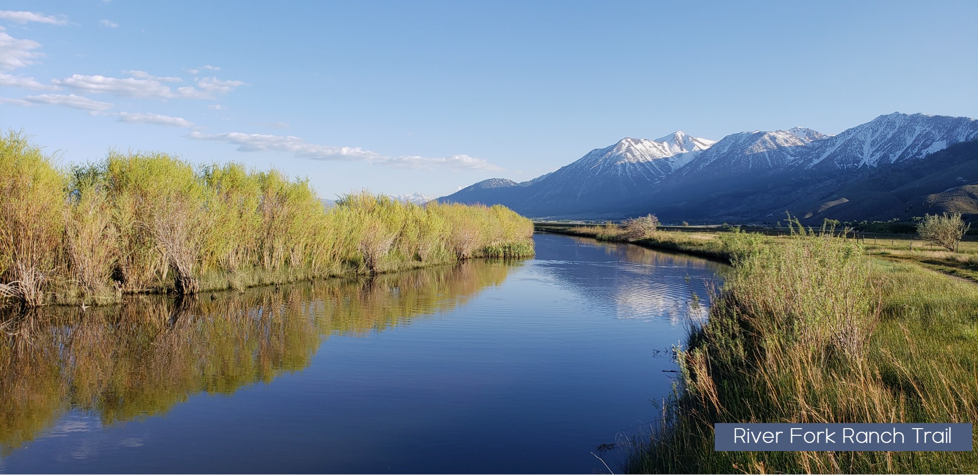 Taking In The Carson Valley By Trail