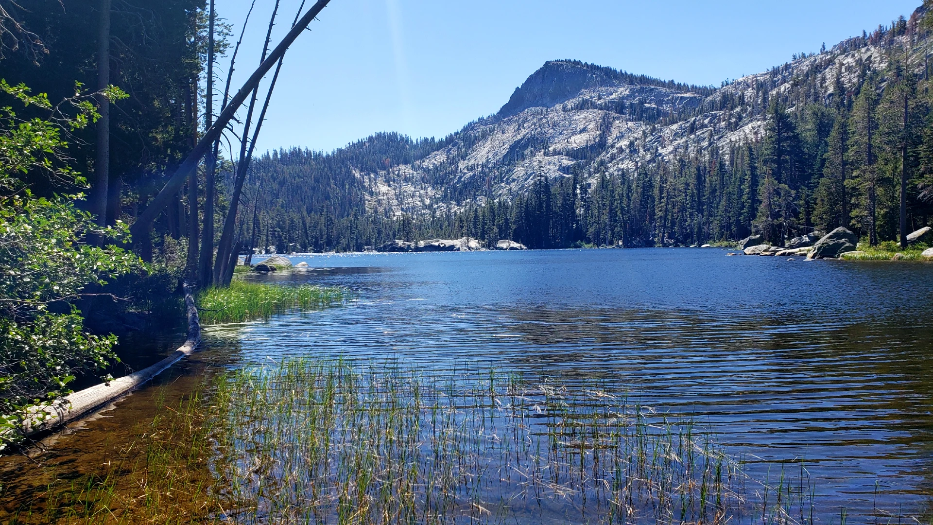 DESOLTATION WILDERNESS: MEEKS BAY TRAIL TO PHIPPS PASS