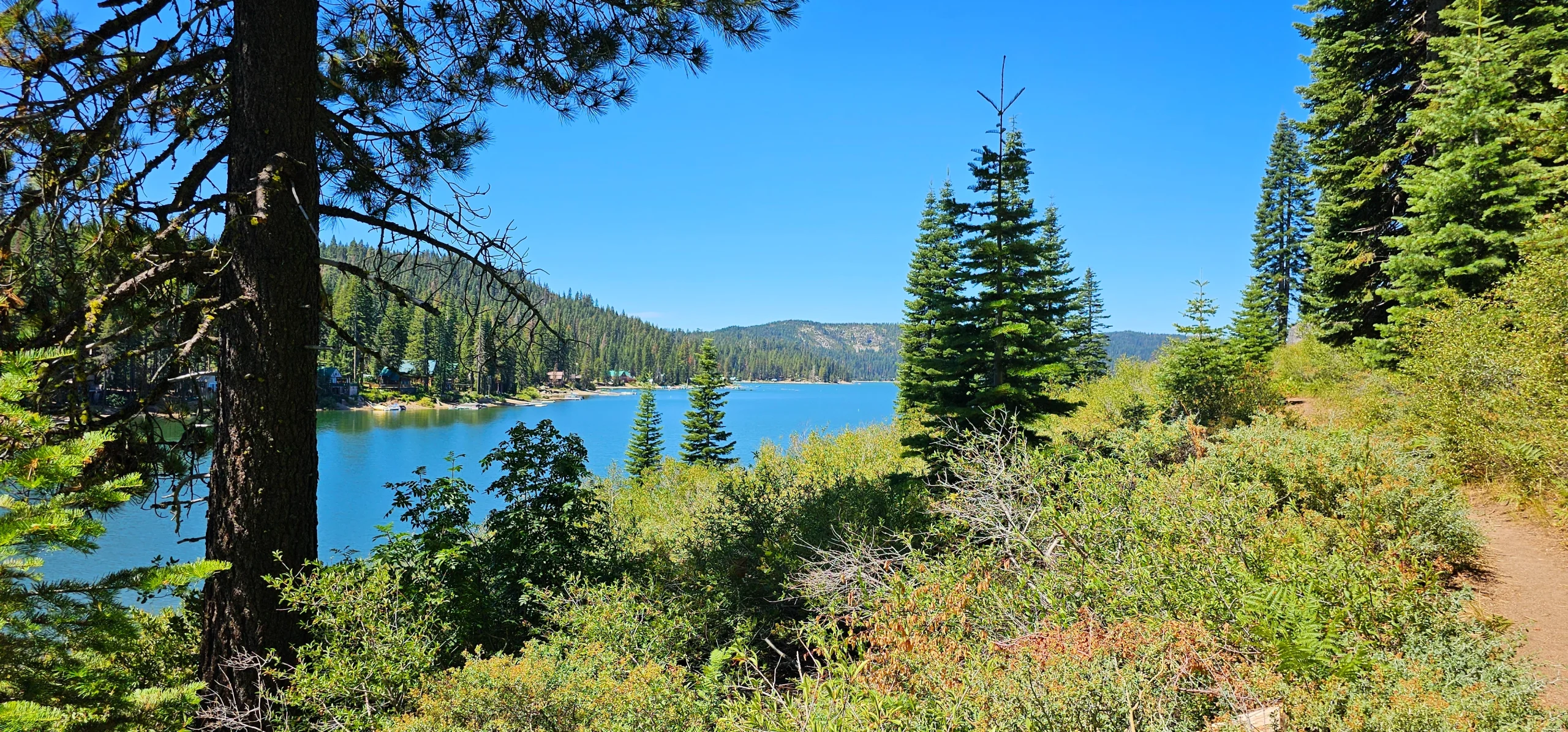 Embarking on the Wilderness Odyssey: Bucks Lake Wilderness