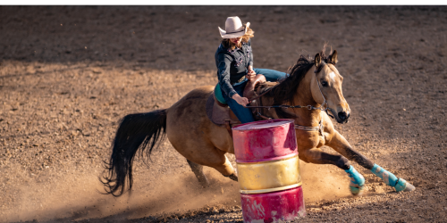 Saddle Up for the Douglas County Rodeo