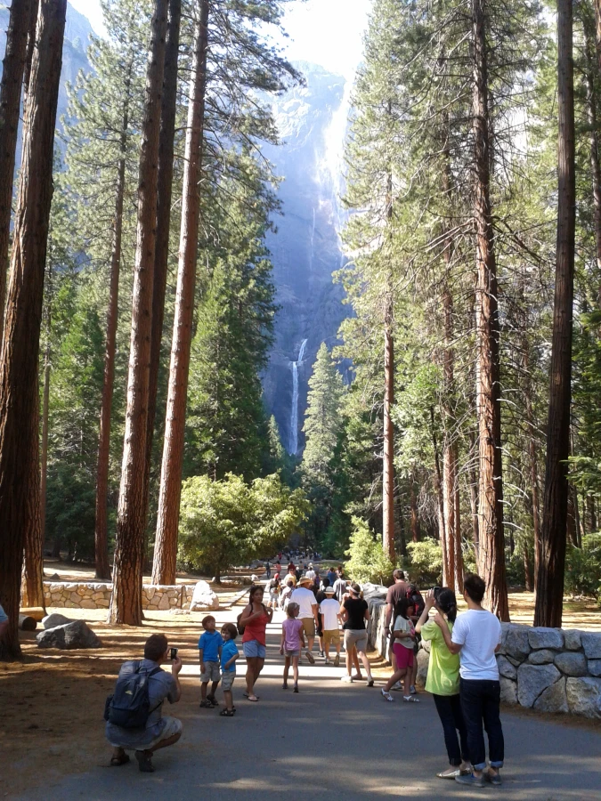 Lower Yosemite Fall Trail – Yosemite Valley