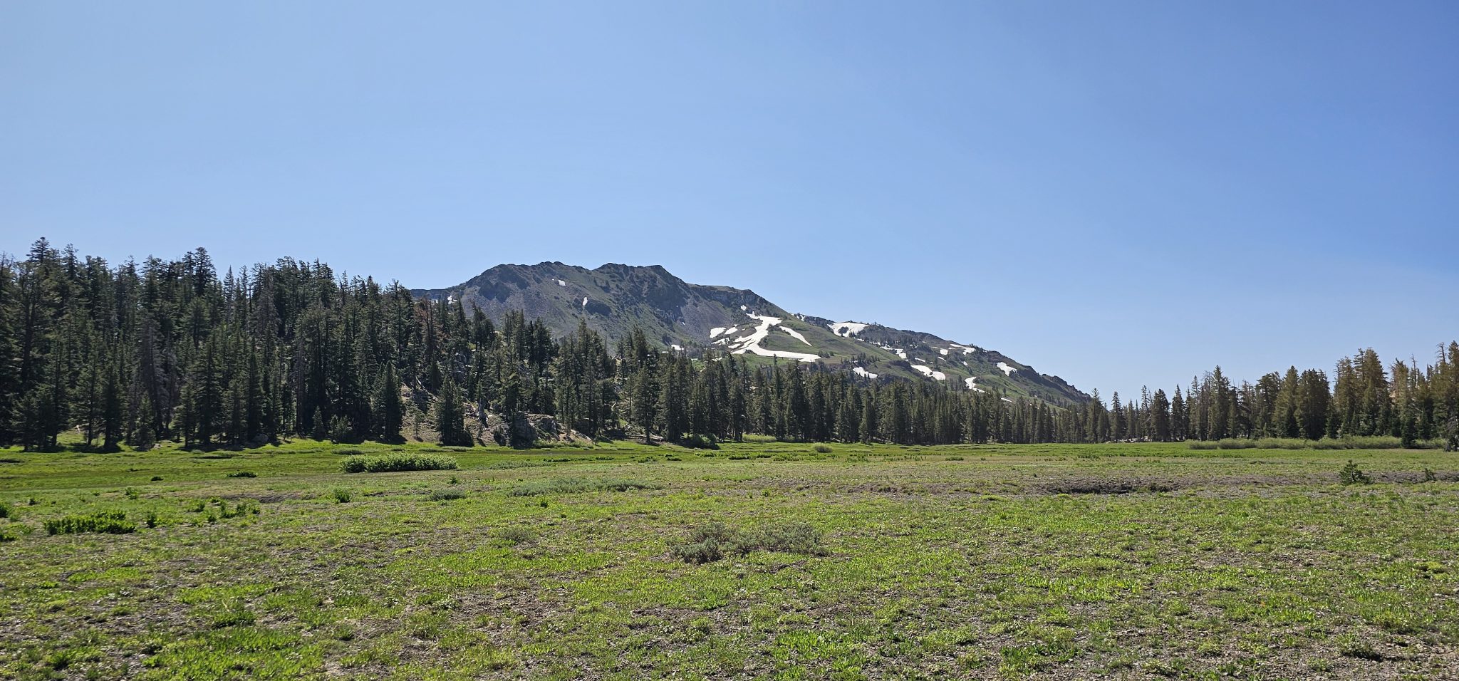 Highland Lakes Dispersed Camping & Gardner Meadow Loop Hike